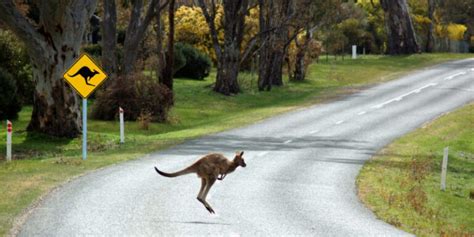 Trivial Meaning And Explanation