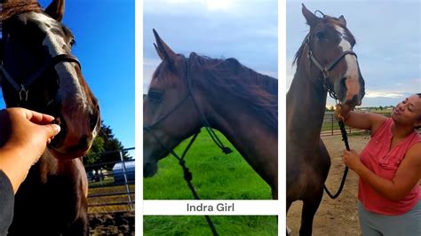 Introducing Indra Girl Youtube