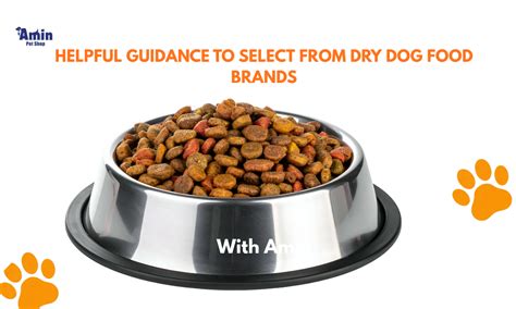 Helpful Guidance To Select From Dry Dog Food Brands