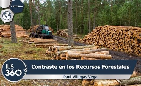 Contraste En Los Recursos Forestales Paul Villegas Vega Ius360 El
