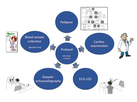 Initial Assessment Process Csur Ern Murciasalud