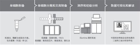 单细胞测序 南京英瀚斯生物科技有限公司