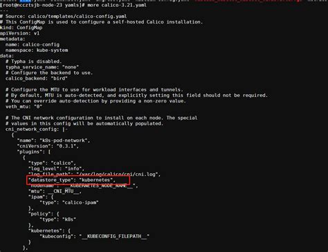 Calicoctl工具部署 K8s中的pod的方式 Zhaidavid 博客园