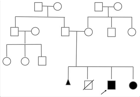 Pseudohypoparathyroidism Type 1a And Albright Hereditary Osteodystrophy A Genetic Conundrum Of