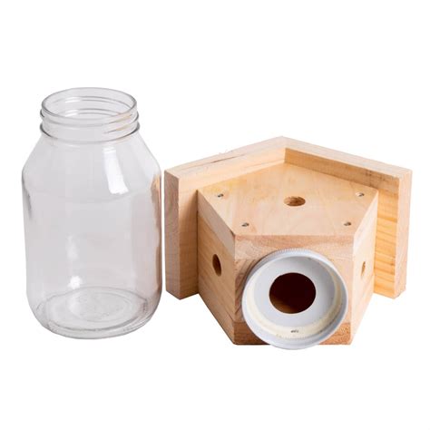 Outdoor Carpenter Bee Trap Lehmans