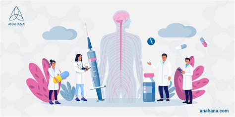 What Is The Sympathetic Nervous System Stress Response Functions