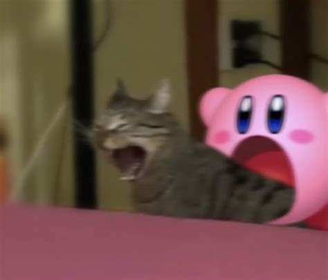 Kirby Cat Minecraft Sachen Profilbilder Smash Buch