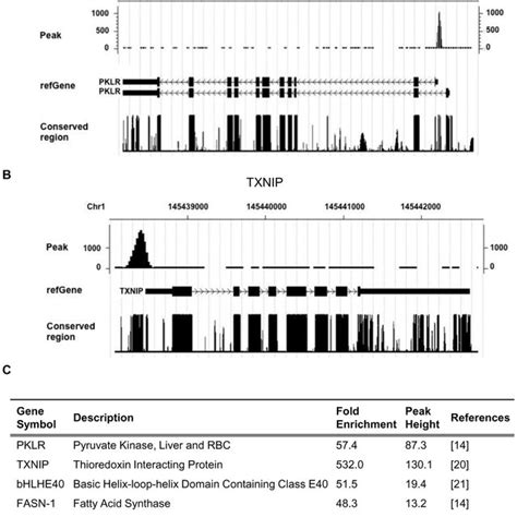 A Schematic Of The De Novo Lipogenesis Pathway Is Shown Direct Targets