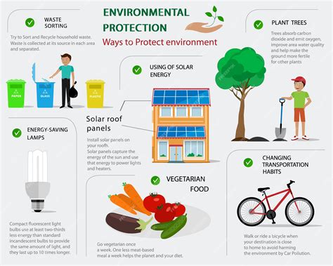 Premium Vector Environmental Protection Infographic Flat Concept Of Ways To Protect