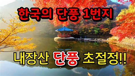 내장산 단풍여행 우화정 내장산 케이블카 전망대 내장사 단풍터널 백련암 서래봉 Youtube