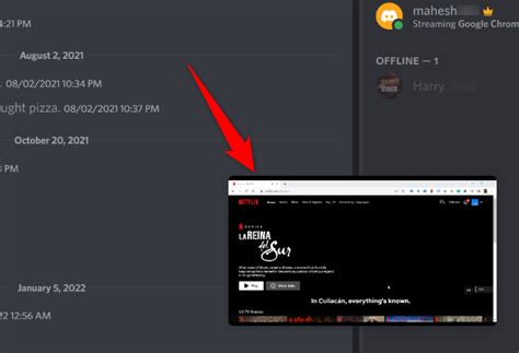 How To Stream Netflix On Discord Guidantech