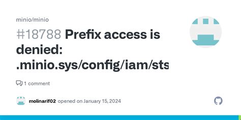 Prefix Access Is Denied Minio Sys Config Iam Sts C1ICY4067BY36S8HDQJK Identity Json Issue