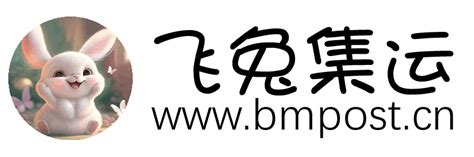 飞兔国际集运 集运，国际集运物流，国际快递，国际物流，国际货运，淘宝集运，集运马来西亚，ems，集运新加坡，转运