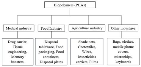 Exploring The Future Of Polyhydroxyalkanoate Composites With Organic Fillers A Review Of