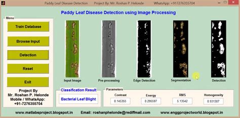 Paddy Leaf Disease Detection Using Image Processing Matlab Project With Source Code ~ Matlab