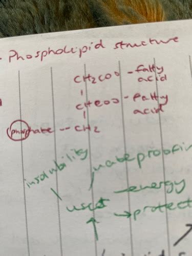 Chapter 1 Sections 1 6 Flashcards Quizlet