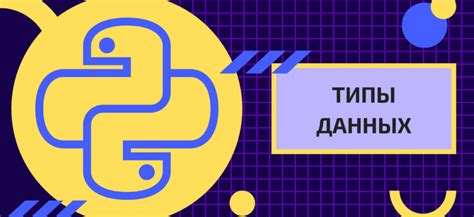 Типы данных в Python для начинающих числа списки и множества