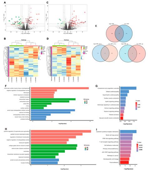 Identification Of Potential Sex Specific Biomarkers In Pigs With Low