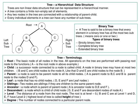 ppt tree a hierarchical data structure powerpoint presentation