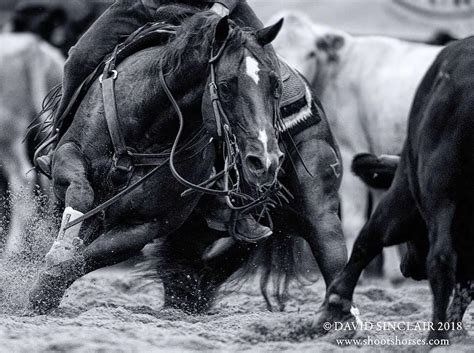 Code Method Code Method Added A New Photo