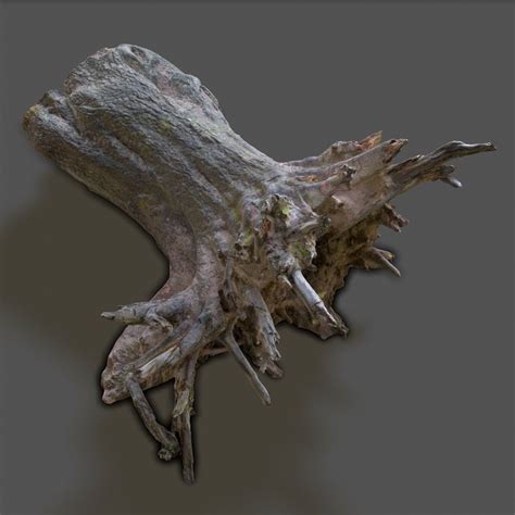 현실적인 나무 뿌리 모델 6 3d 모델 20 Ztl Obj Unknown Free3d