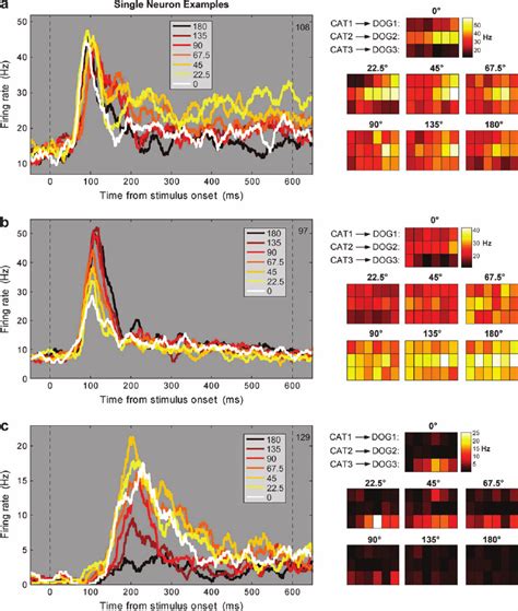 Single Neurons Examples Figure A C Left Shows The Download Scientific Diagram