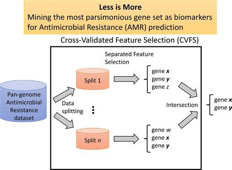 A Cross Validated Feature Selection Cvfs Approach For Extracting The Most Parsimonious Feature
