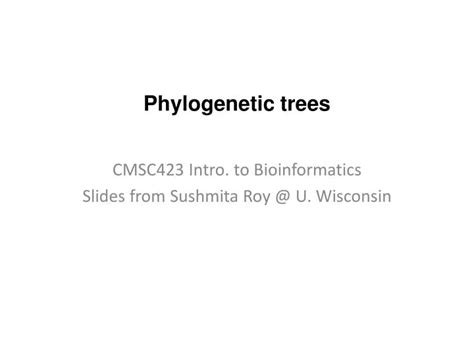 PPT Phylogenetic Trees PowerPoint Presentation Free Download ID