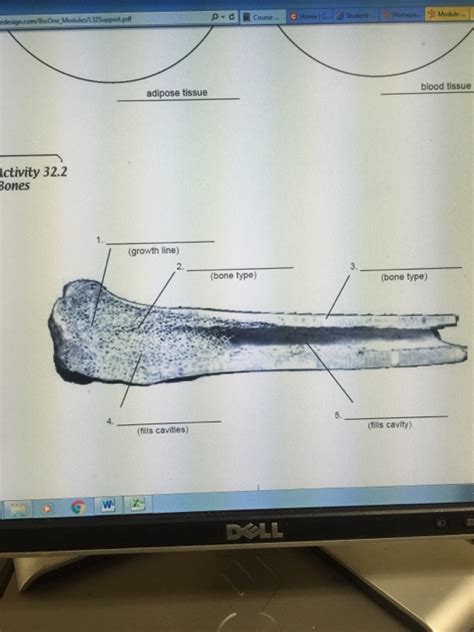 Solved Module Lab Questions Hide Folder Information Folder Chegg