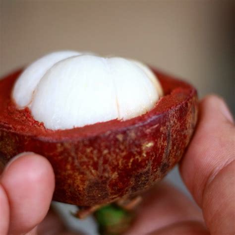 What Is Mangosteen Fruit And How Do You Eat It