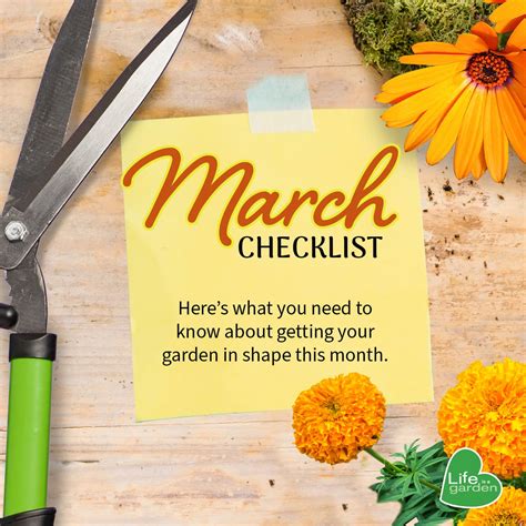 March Checklist Life Is A Garden
