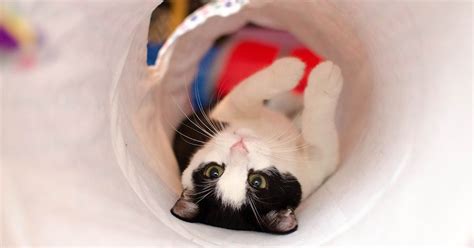 Chris Saxon On Linkedin How To Check If A Row Is A Continuation Of The Previous One Part 2