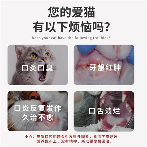 博莱得利博莱宠猫口咽猫口安喷剂猫咪口炎溃疡发炎牙龈红肿口臭虎窝淘