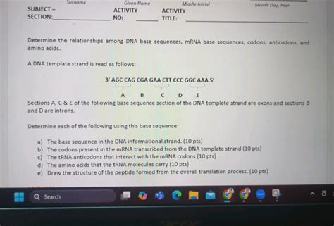 Determine The Relationships Among Dna Base Sequences Mrna Base Sequences