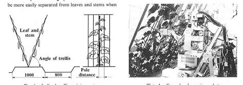 Figure 2 From Development Of Robotic System For Cucumber Harvesting Semantic Scholar