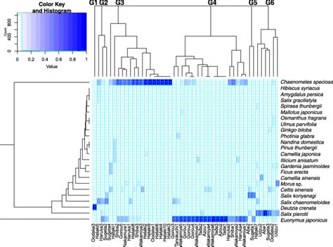Dendrogram Of Woody Species Planted As Demarcation Trees At 47 Survey