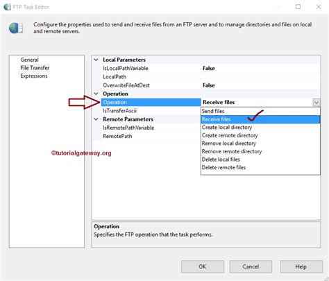SSIS FTP Task Receive Multiple Files SSIS FTP Task Receive Multiple Files