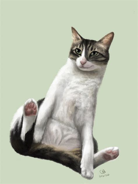 My Derpy Kitty R Drawing