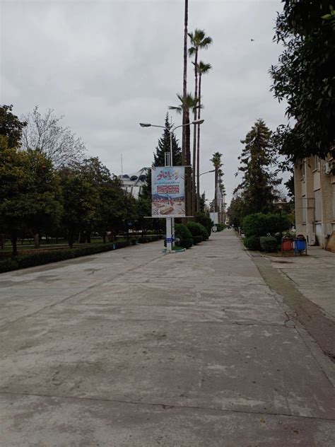 Mohammad Ramezani Nezhad On Linkedin واقعیت چند وقتی بود میخواستم پستی