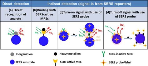 Illustration Of Different Sers Sensor Design Strategies For Inorganic