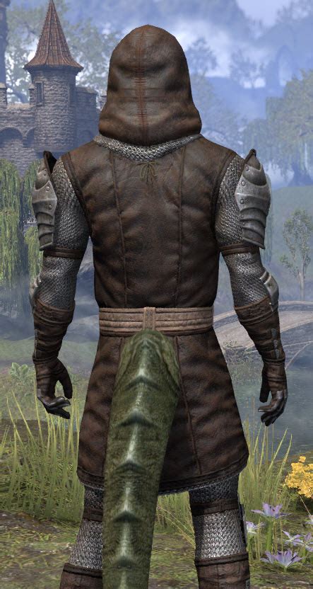 Eso Fashion Knight Aspirant Elder Scrolls Online