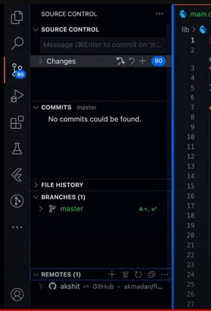 Flutter GIT Commands Missing From VS Code Stack Overflow