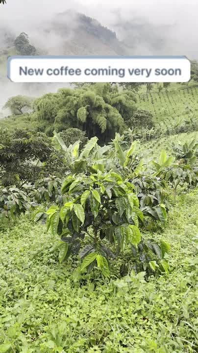 Javabeanllc On Linkedin Javabean Llc Bringing New Coffee Soon New