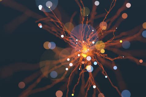 Building Microservices From A Monolith Java Ee App Tutorial