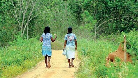 Sexual Bribery The Silenced Side Of Corruption Daily Ft