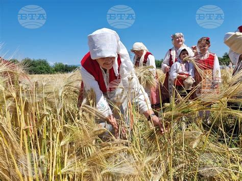 Жътвената кампания в Ямболско се открива официално днес Утро