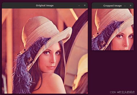 Opencv 图形api（71）图像与通道拼接函数 从图像（gmat）中裁剪出一个矩形区域的操作函数 Crop 技术栈