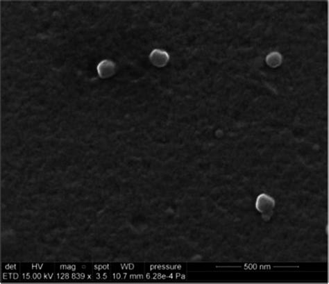 Spr Sensorgram Of Nanomips Injected Onto A Specific Histamine Coated