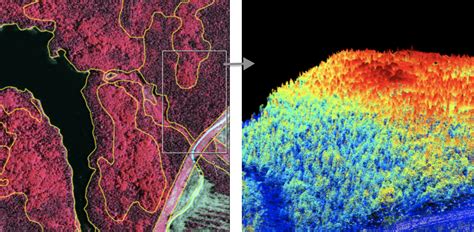 Forest Resources Inventory