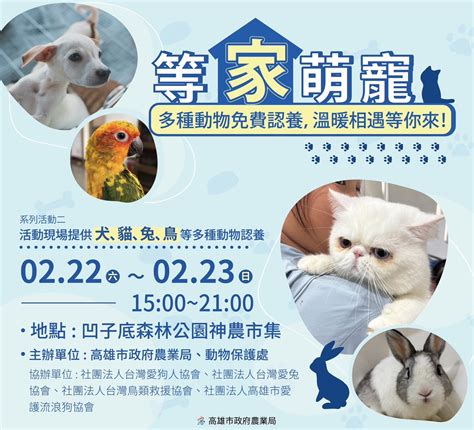 「神農市集」熱鬧登場 特色農產、創意私廚與萌寵盛宴齊聚高雄凹子底 蕃新聞